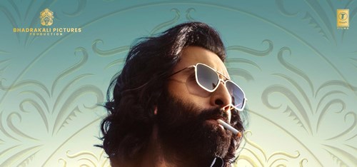 Animal (Hindi) | Showtimes & Tickets | The Light Cinema Cambridge