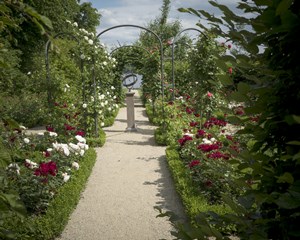 EXHIBITION ON SCREEN: Painting the Modern Garden - Monet to Matisse ...
