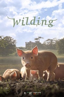 Cinema - Walsall - The Light