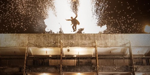 Stuntman (Cantonese) | Showtimes & Tickets | The Light Cinema Cambridge