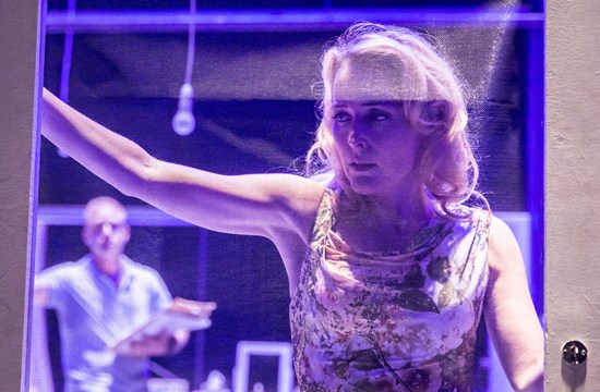 Now Showing | Cinema | The Light Sheffield