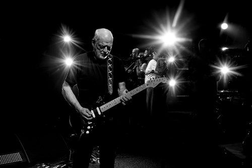 David Gilmour Live at the Circus Maximus, Rome | Showtimes & Tickets ...