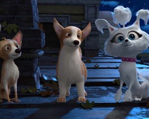 Dogs at the Opera | Showtimes & Tickets | The Light Cinema Sittingbourne